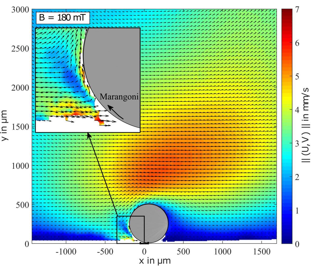 16.6 MHD shear flow around growing hydrogen bubble - PIV Book Digital ...
